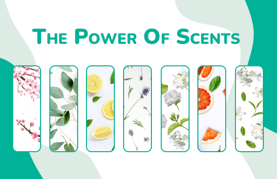 The Power of Scents: A Guide to Two Steps Cleaning’s Signature ...